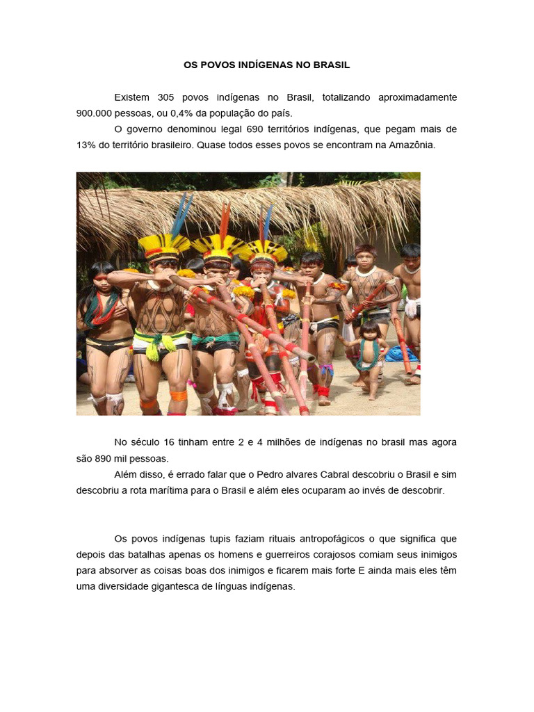 Os Povos Indígenas No Brasil | PDF