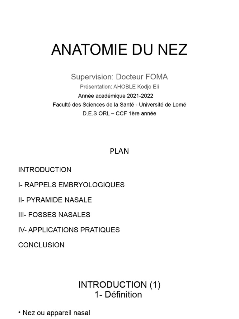 Anatomie détaillée du nez et sinus | PDF | Système squelettique ...