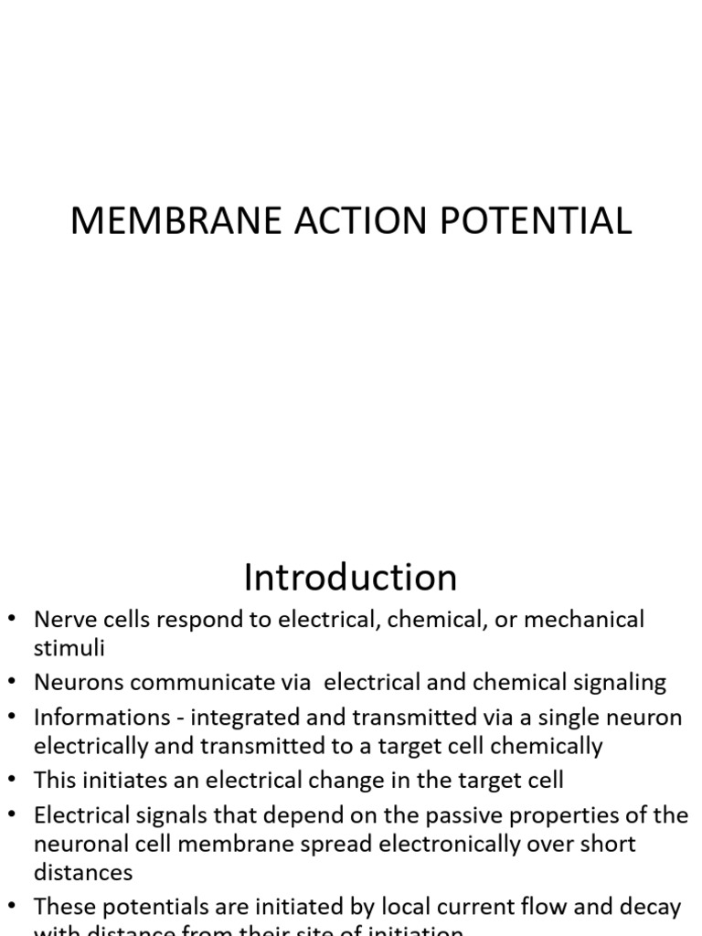 Action Potential | PDF | Action Potential | Neuron