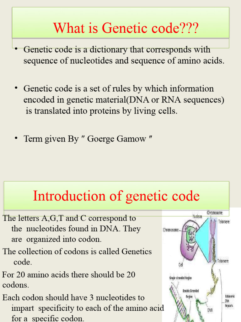 Genatic Codes | PDF | Genetic Code | Translation (Biology)