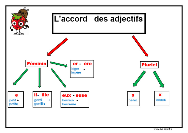Carte Mentale - Accord Des Adjectifs | PDF