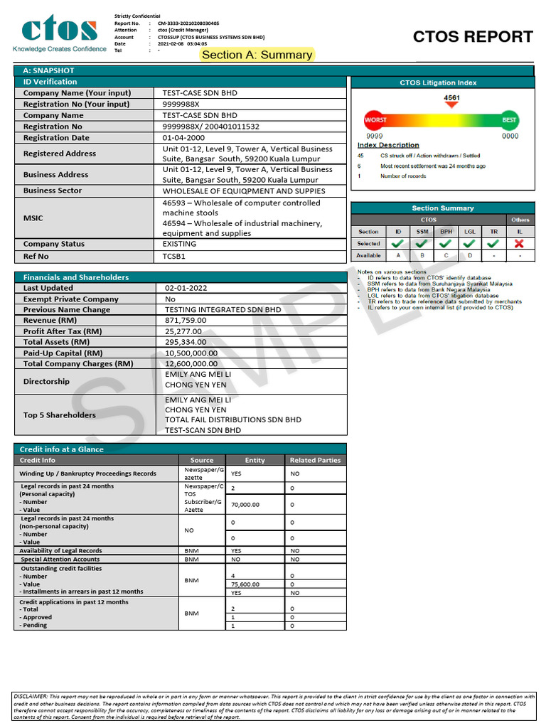 CTOS Company Report (Sample) | PDF | Return On Equity | Equity (Finance)