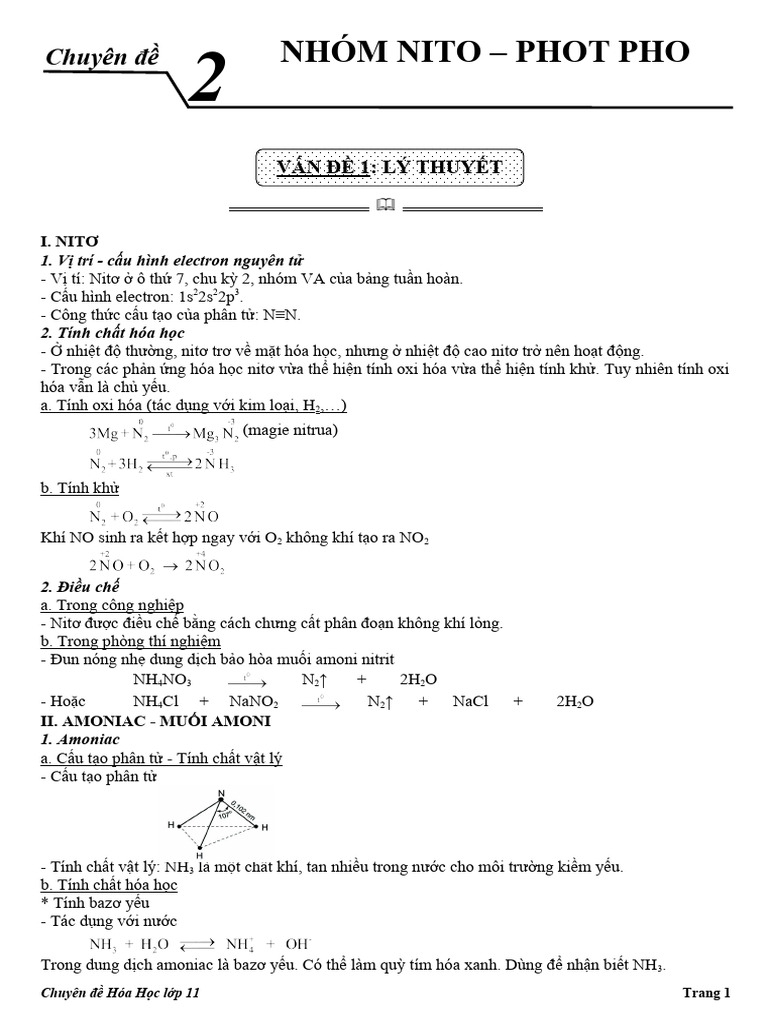 Ly Thuyet Va Cac Dang Bai Tap Chuyen de Nhom Nito Photpho | PDF