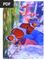 Fish Names in Marathi | PDF | Fishing Industry | Aquatic Animals