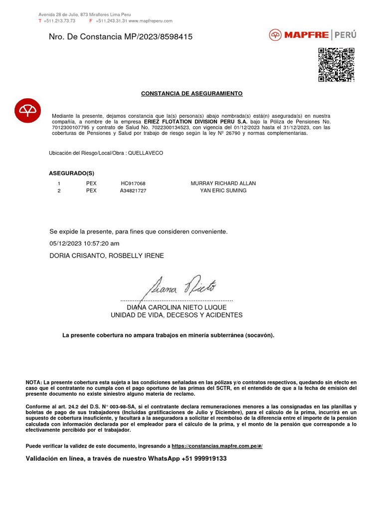 Ejemplo de Constancia SCTR Diciembre de Empresa | PDF | Póliza de seguros | Contabilidad