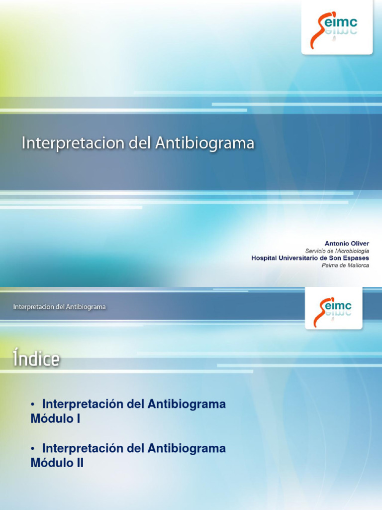 Interpretación del Antibiograma en Microbiología | PDF | Staphylococcus ...