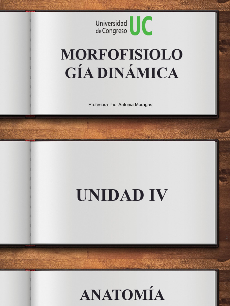 Modulo Iv | PDF | Pelvis | Cintura
