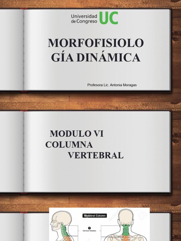 Modulo Vi Columna Vertebral | PDF | La columna vertebral | Vértebra