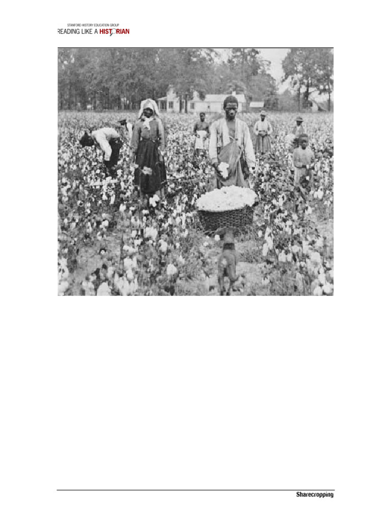 1882 Sharecropping Contract Analysis | PDF