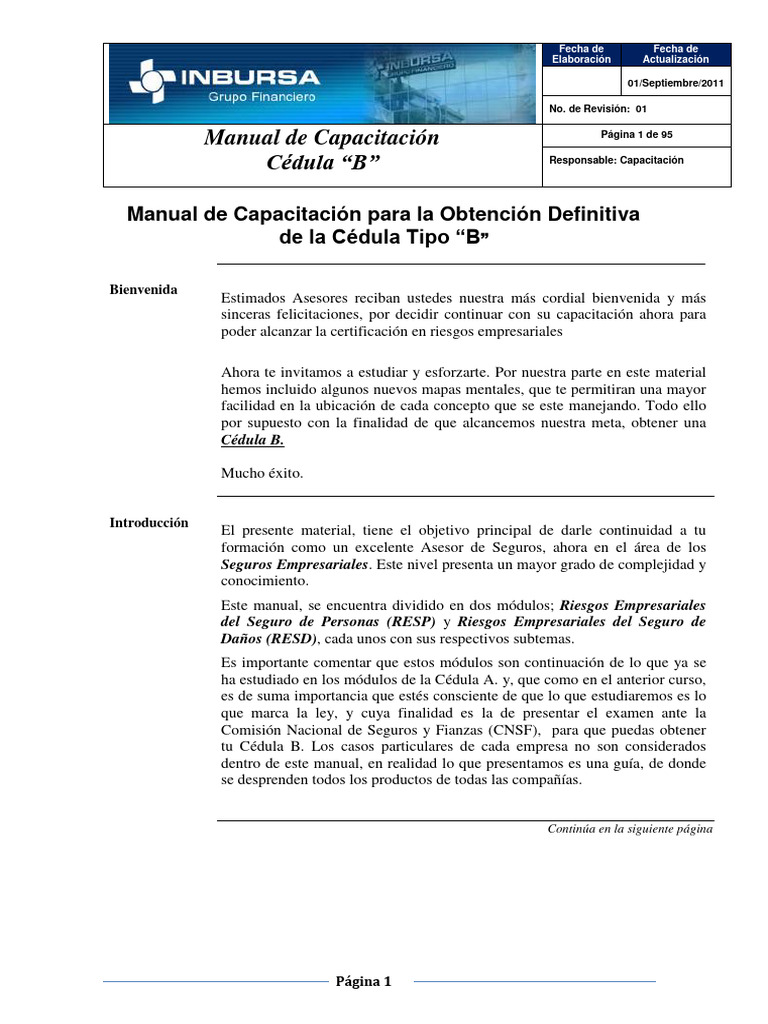 Manual Cedula B RESP (1856) | PDF