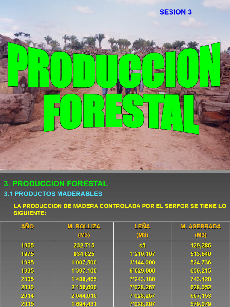 Producción Forestal en Perú: Madera y Más | PDF | Los bosques | Business