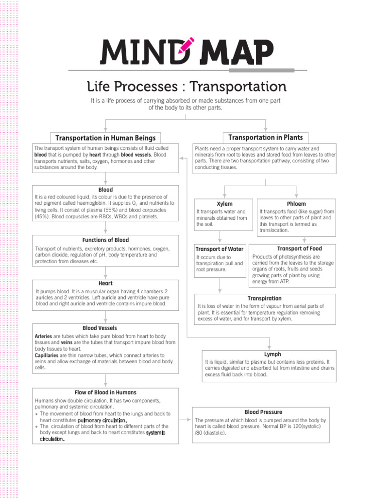 All in One SCIENCE - 10 - Mid Map - CH 5c | PDF | Blood | Human Body