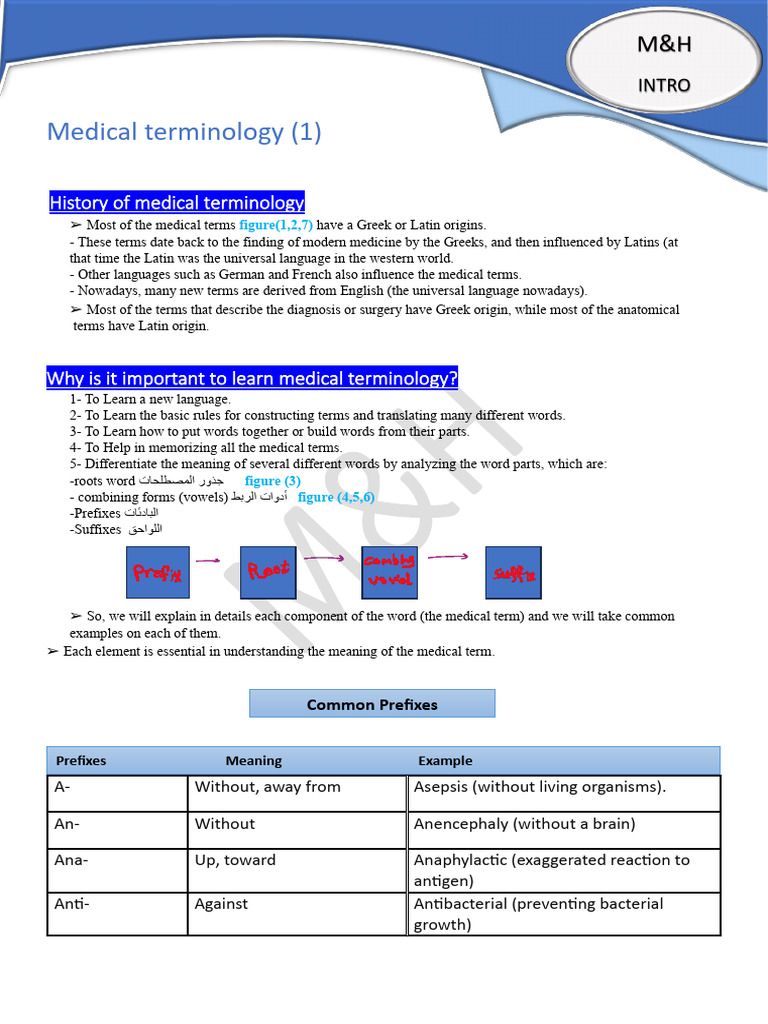 Medical Terminology I | PDF | Heart | White Blood Cell