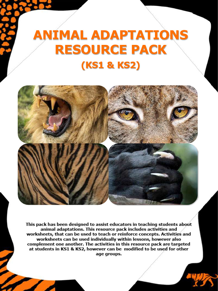 Resource Pack Animal Adaptations Upload | PDF | Predation | Leopard