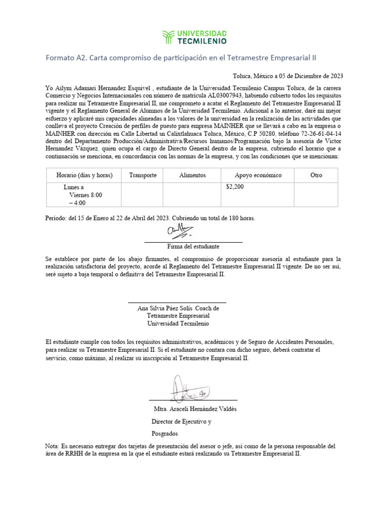 Formato A2 proyecto corporativo | PDF