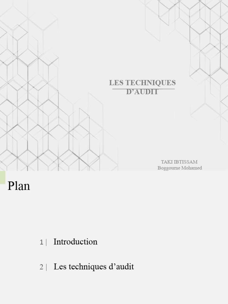 Techniques d'Audit Efficaces | PDF