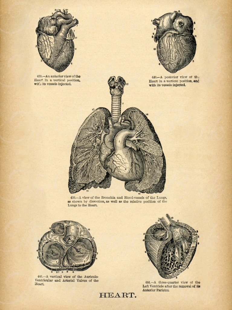 Hhhhy Fullxfull.2254641956 Tonw | PDF