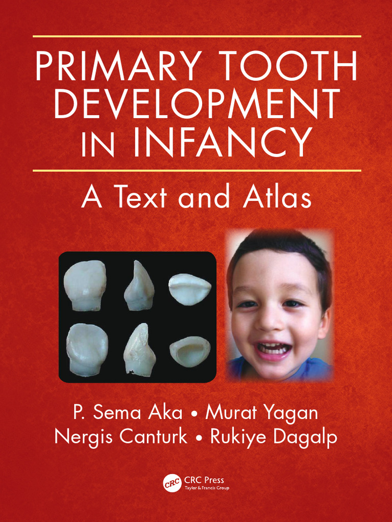 Primary Tooth Development in Infancy | PDF | Dental Anatomy | Human Tooth