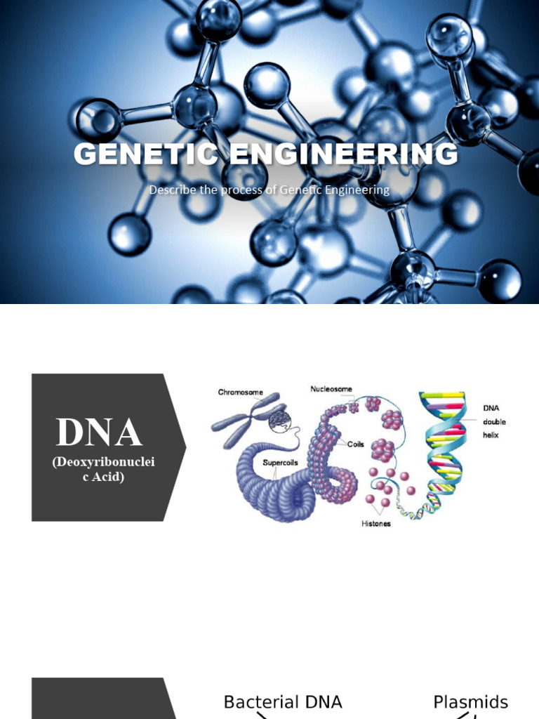 Genetic-Engineering Part 1 | PDF | Wellness