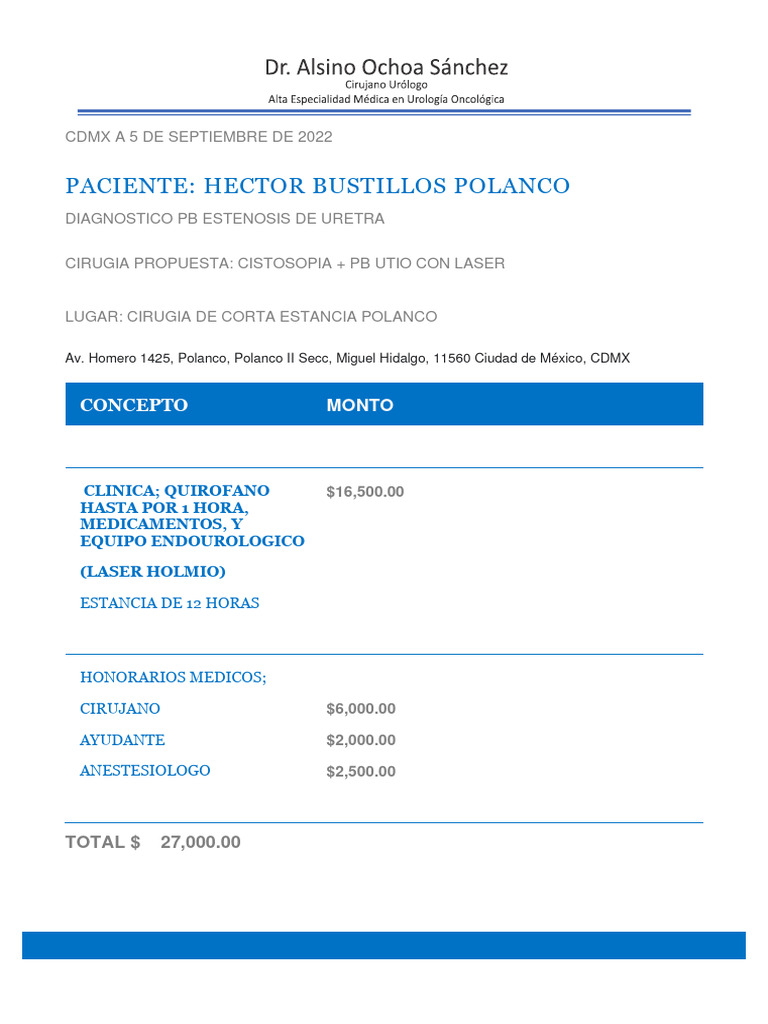 Cotizacion Bustillos Polanco | PDF