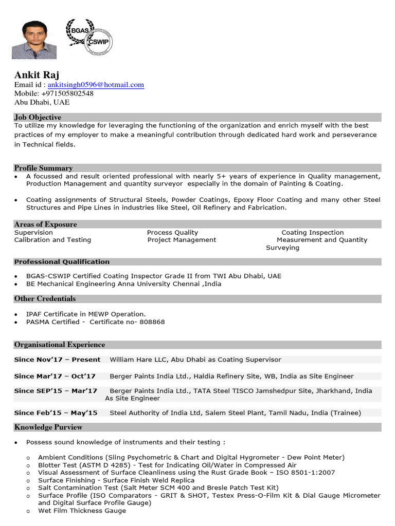 Ankit Resume Painting Inspector | PDF | Paint | Specification ...