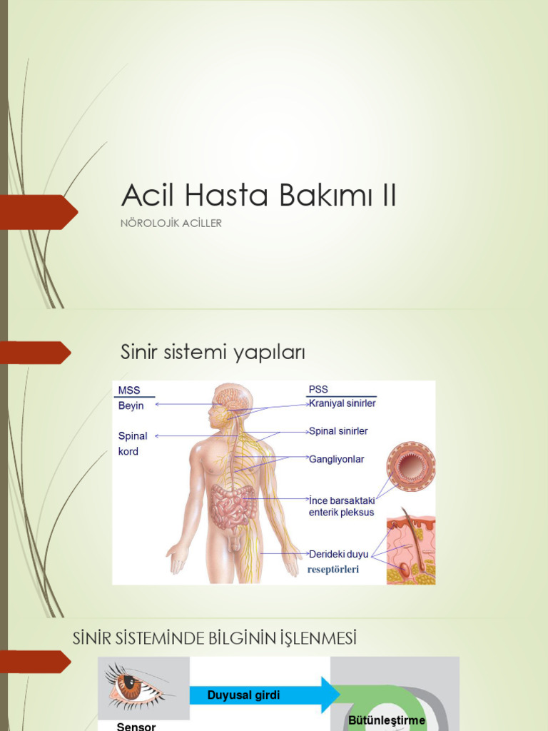 Si̇ni̇r Si̇stemi̇ Hastaliklarinda Aci̇l Bakim | PDF