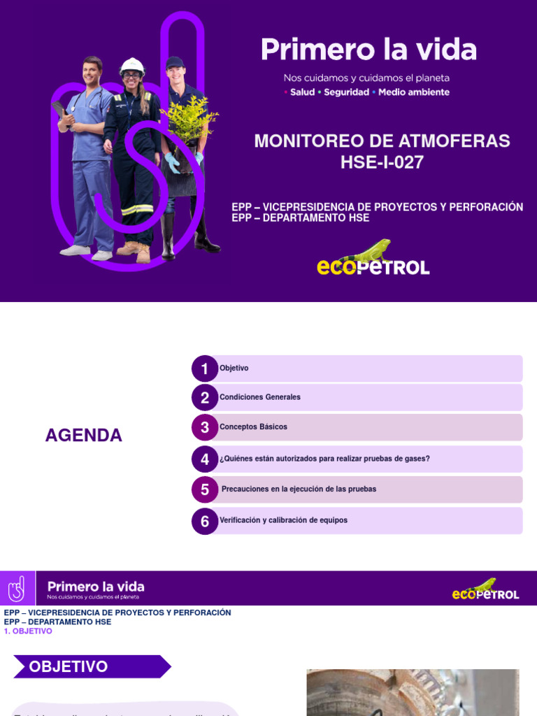EPP HSE Monitoreo de Atmosfera | PDF