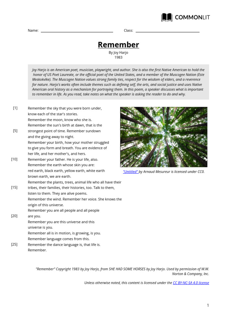 Remember-teacher-12 | PDF