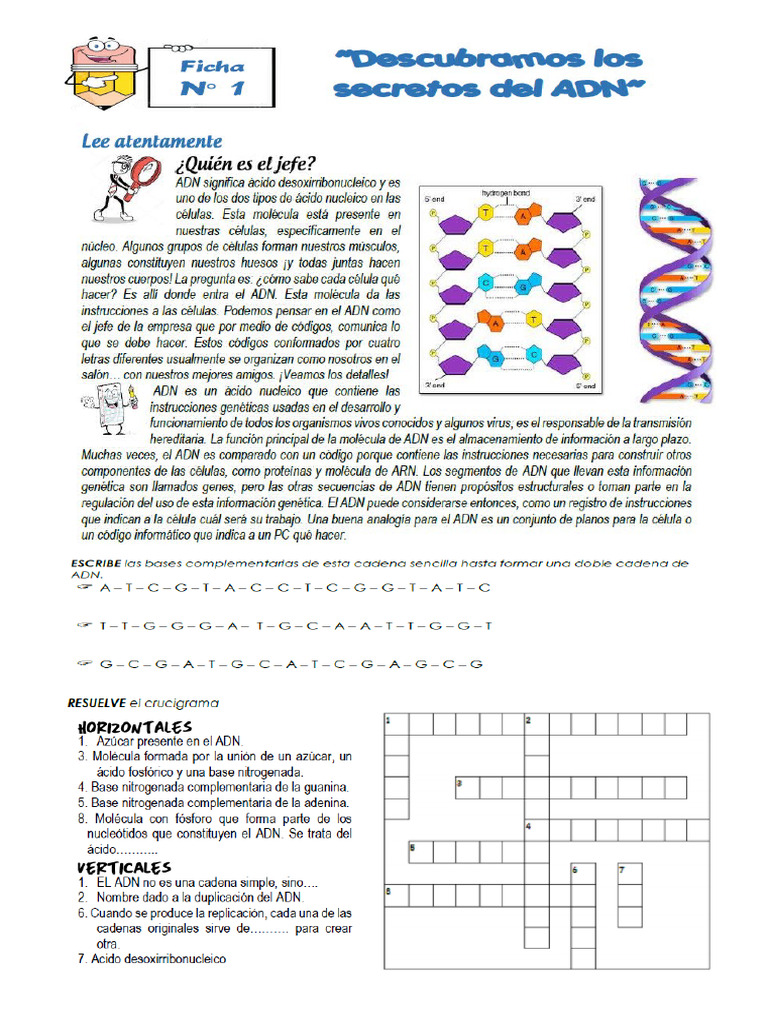 1secretos Del Adn | PDF