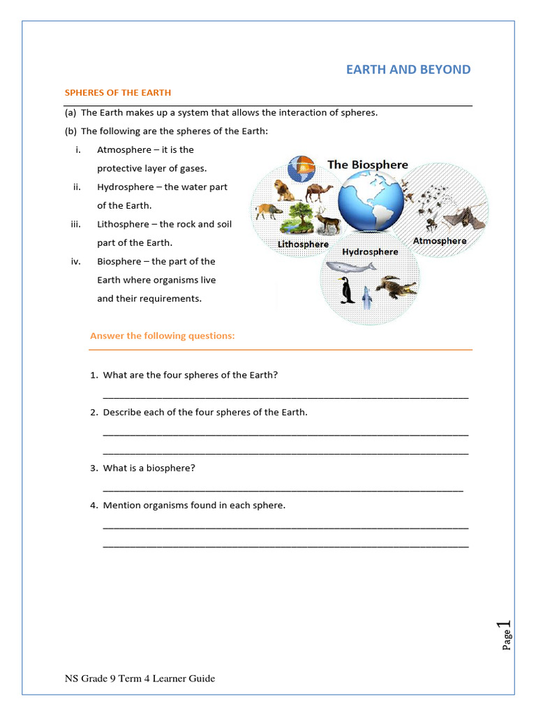 NS Grade 9 Term 4 Learner Guide | PDF