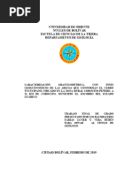 Características del Suelo Gleysol | PDF