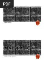 Mali Princ-Lektira | PDF