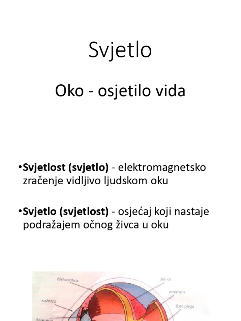 1.3. Svjetlo - Oko Osjetilo Vida | PDF