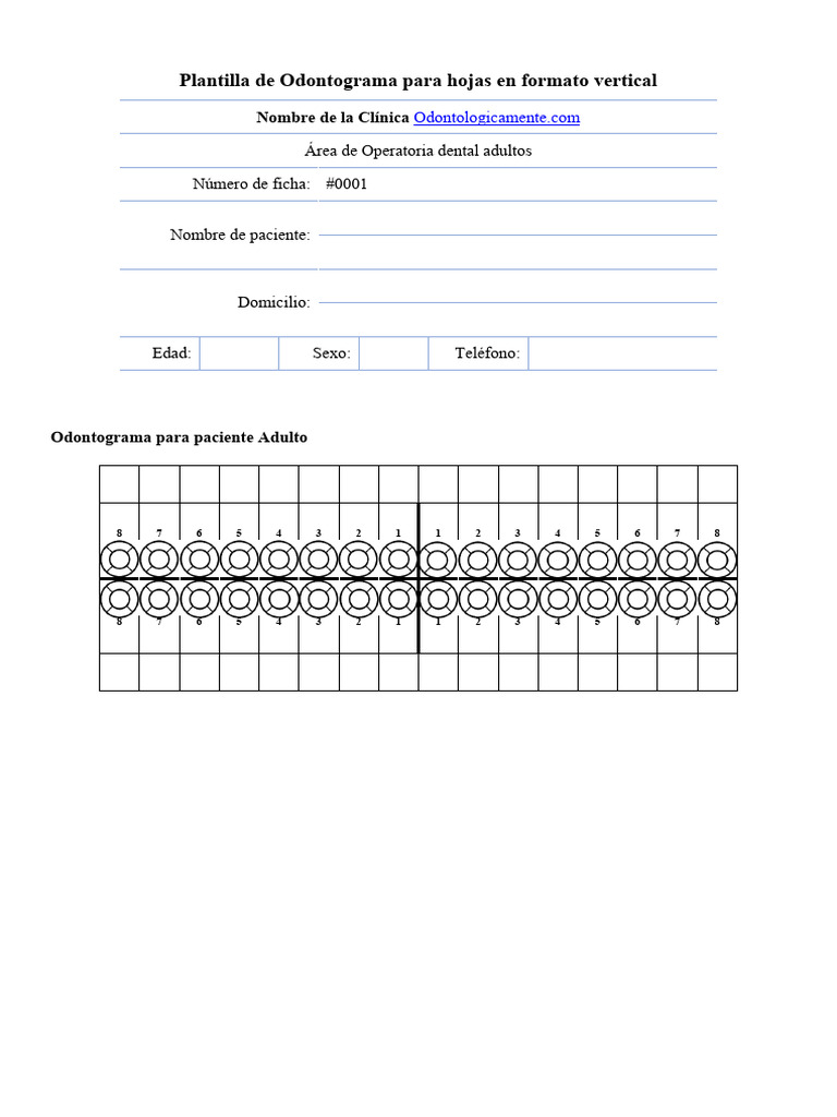 Plantilla de Odontograma para Adultos | PDF
