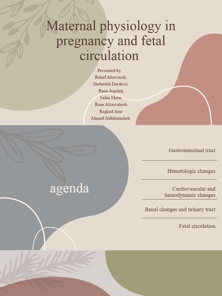 Final Maternal Physiology in Pregnancy and Fetal Circulation | PDF ...