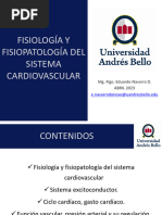 Cateter Subclavio Detallado | PDF | Embolia | Vena
