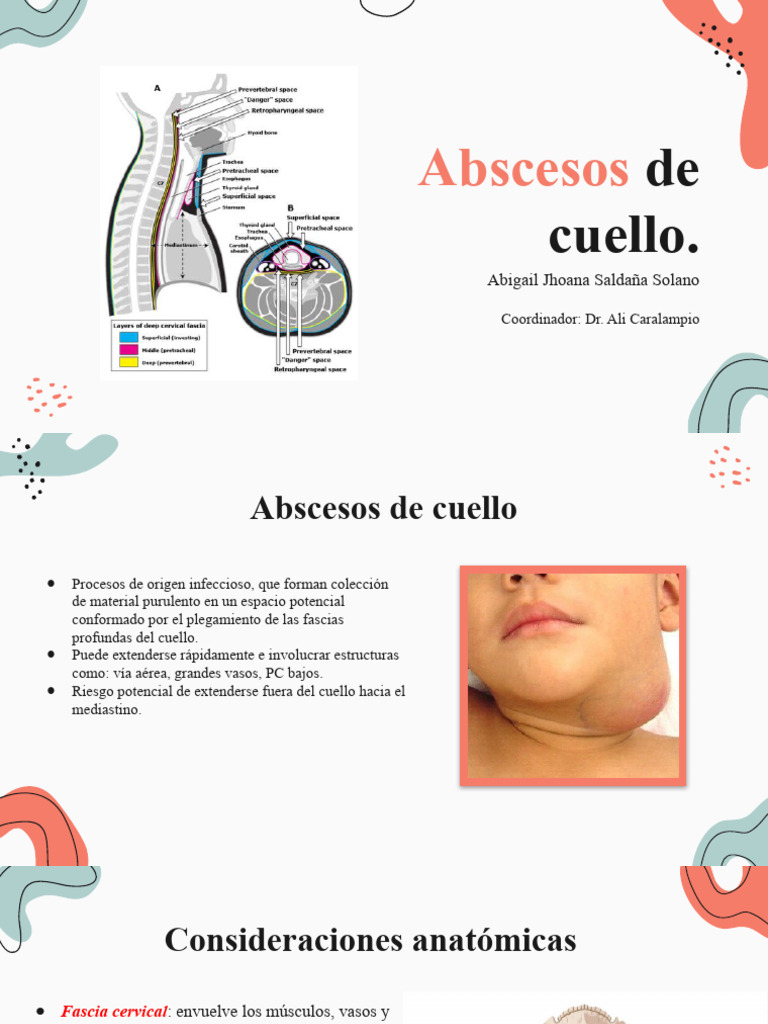 Abscesos de Cuello - Abigail Saldaña | PDF | Especialidades Medicas ...