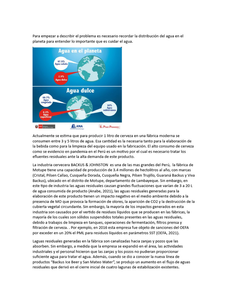 Descripcion Del Problema | PDF
