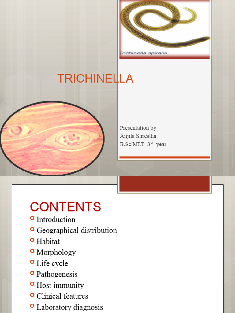 TRICHINELLA | PDF | Medical Specialties | Clinical Medicine