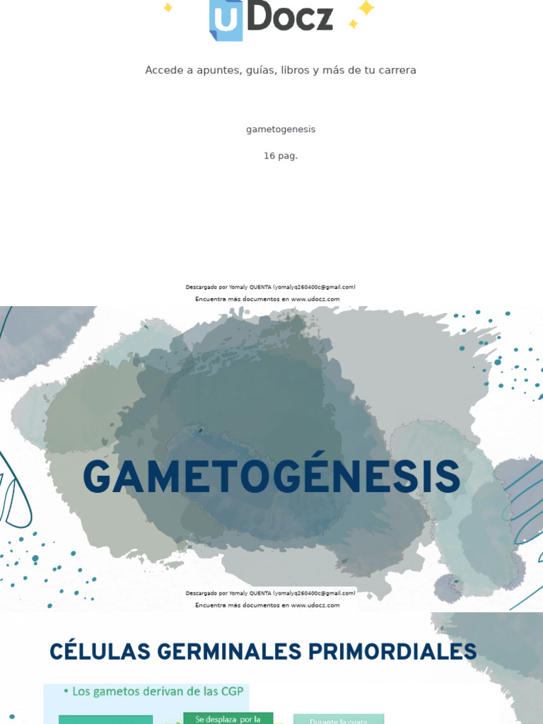 Gametogenesis | PDF | Mitosis | Biología