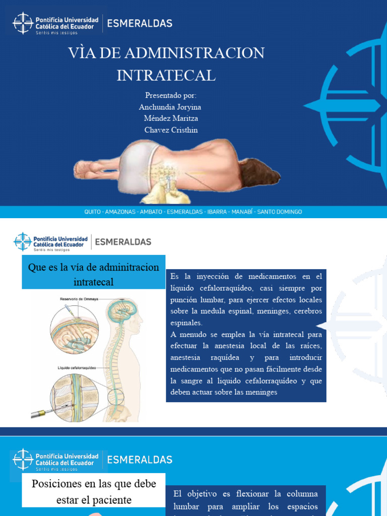 Via Intratecal, Grupo2. | Descargar gratis PDF | Fluido cerebroespinal | Tratamientos médicos