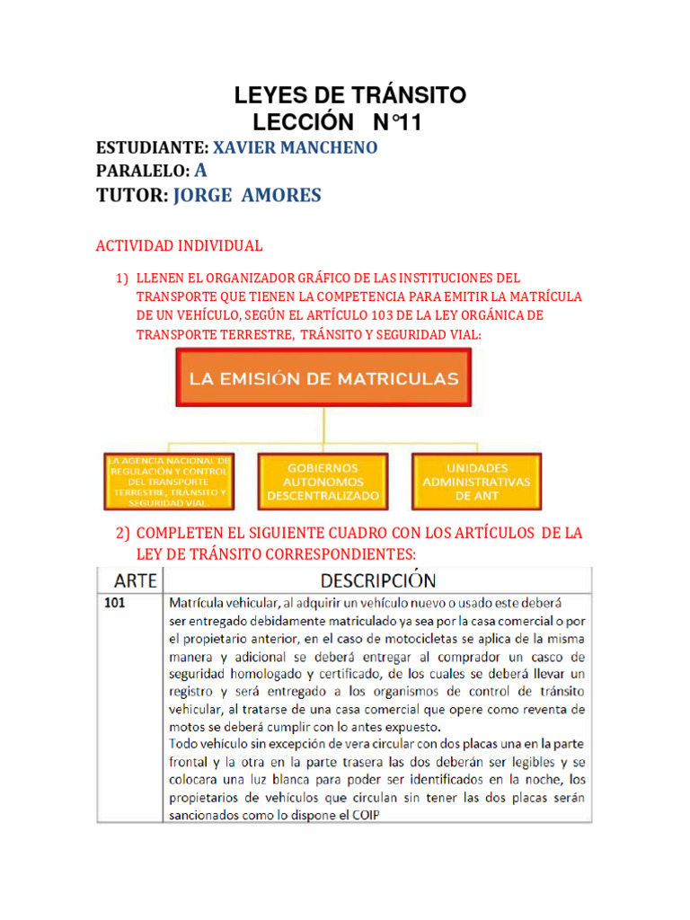 Leyes de Tránsito Leccion N 11 | PDF