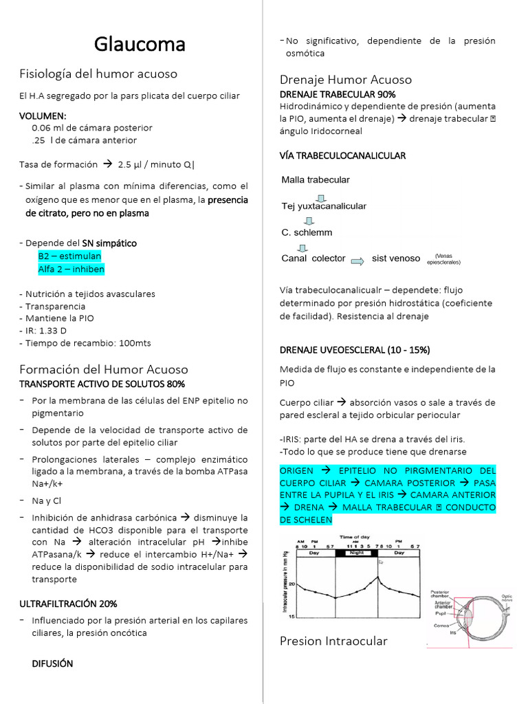 Glaucoma | PDF | Glaucoma | Sistema visual