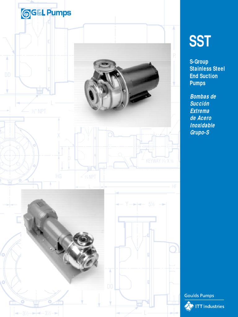 Gould Pump - SST | PDF | Ciencias fisicas | Ingeniería de Edificación
