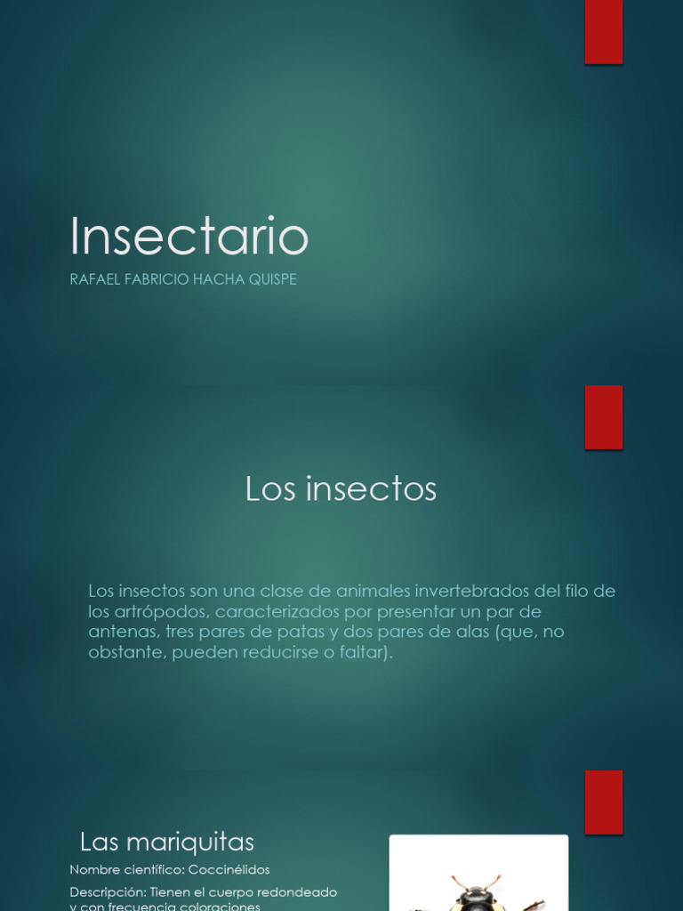 Insectario: Tipos y Características | PDF