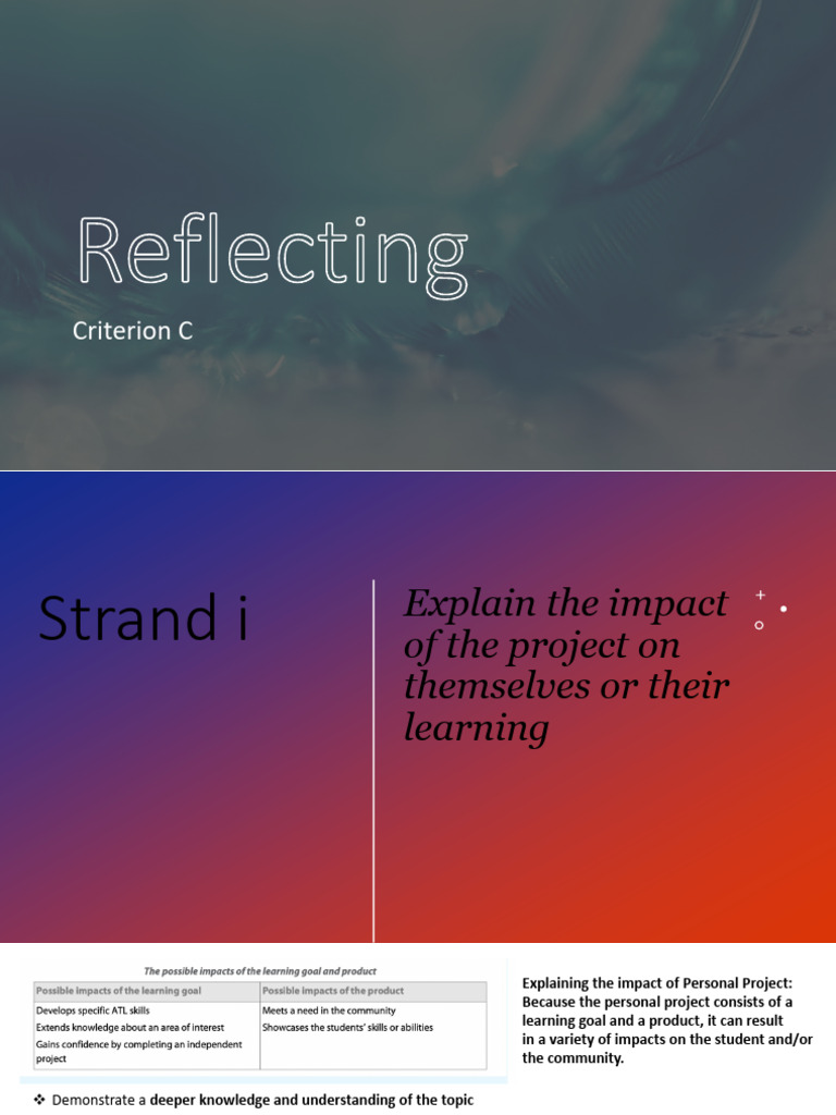 Criterion C - Session For PP With Students | PDF | Learning | Knowledge