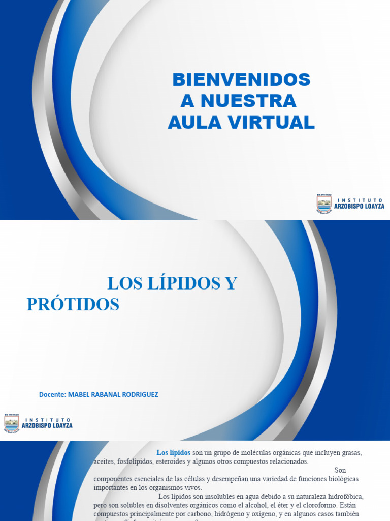09-Los Lípidos y Prótidos | PDF | Lípido | Proteínas