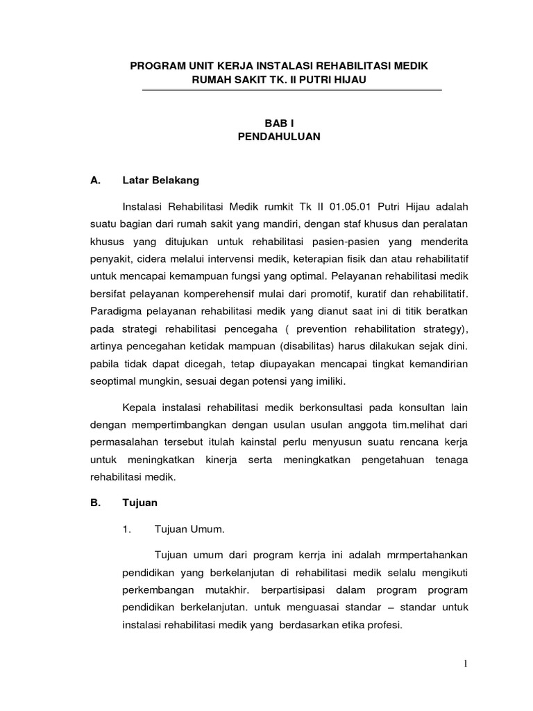 Program Kerja Rehabilitasi Medik RS Putri Hijau | PDF