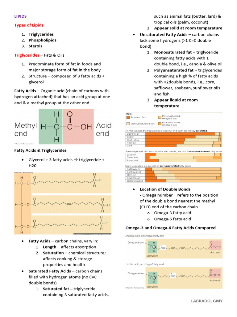 LIPIDS | PDF | Fat | Fatty Acid