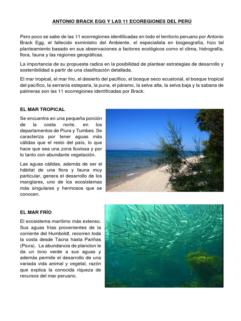 Antonio Brack Egg y Las 11 Ecoregiones Del Perú | PDF Antonio Brack Egg y Las 11 Ecoregiones Del Perú | PDF